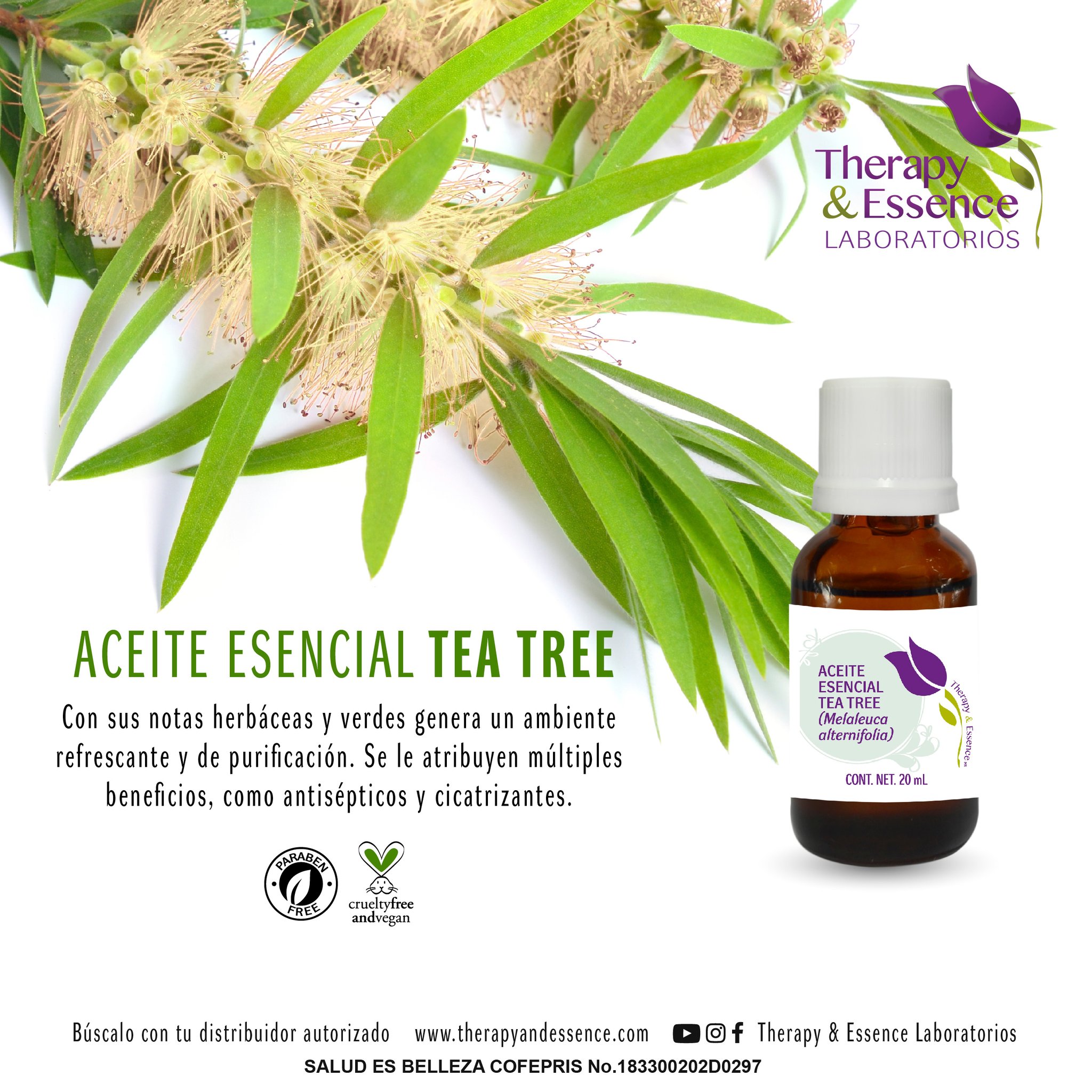 Aceite esencial Tea Tree 20ml – Tienda Oficial del Instituto ...