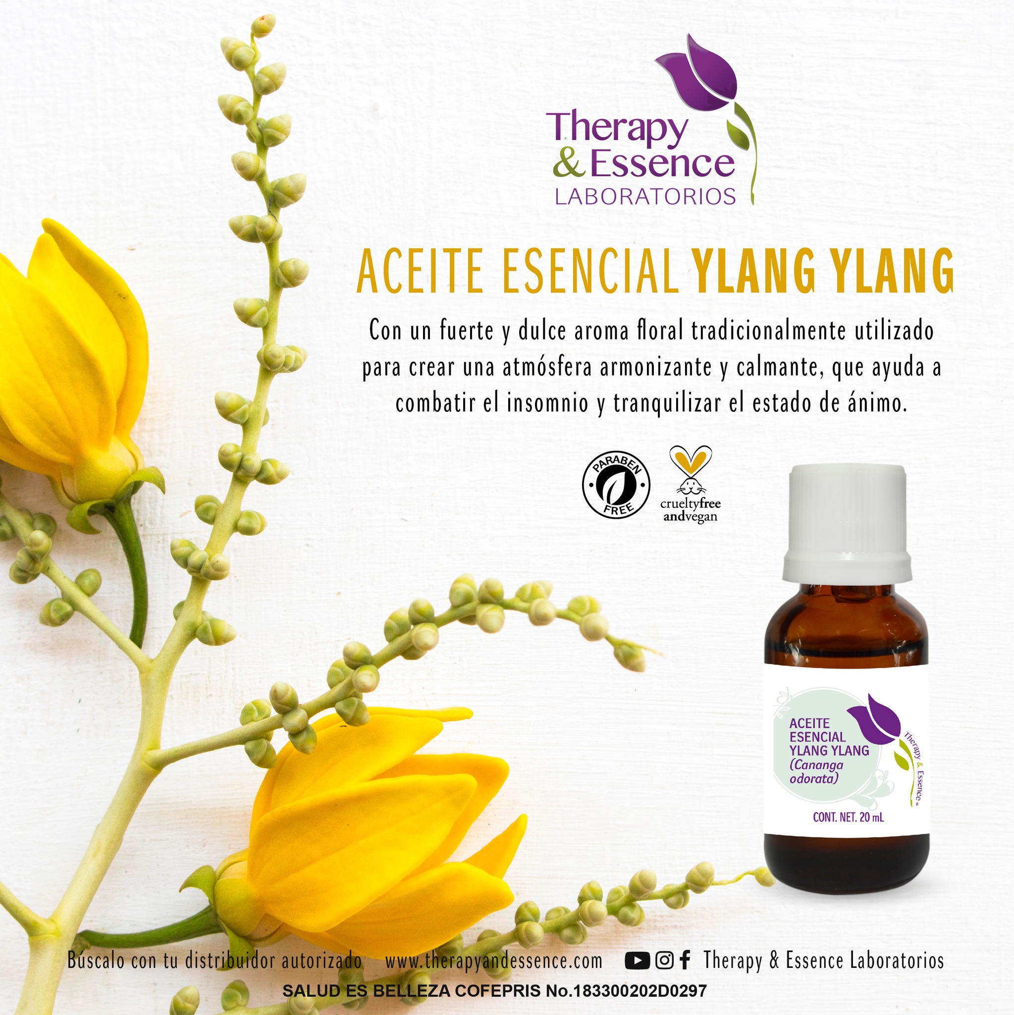Aceite esencial Ylang Ylang 20ml – Tienda Oficial del Instituto ...